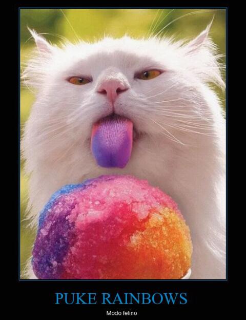 gato - Meme by diegodiazcaneja51 :) Memedroid