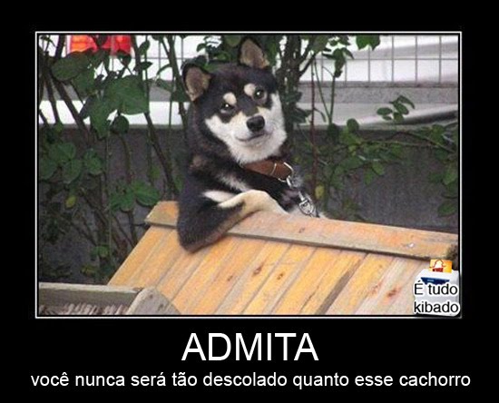 muito descolado - Meme by kalistonwender :) Memedroid