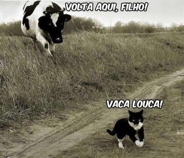 vaca louca - Meme by kaisersoze :) Memedroid