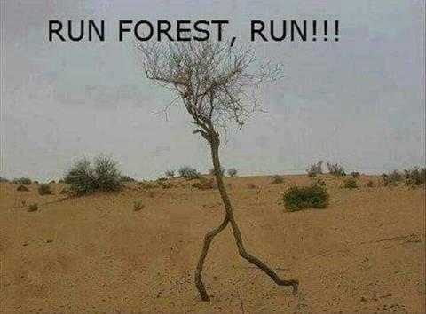 Ruuuun - Meme subido por morrisonded :) Memedroid