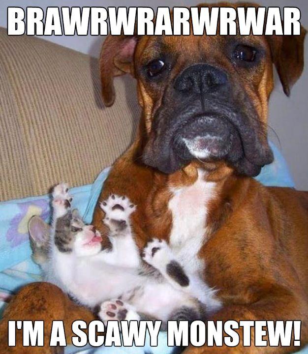 fear me - Meme by deadrabbitt :) Memedroid