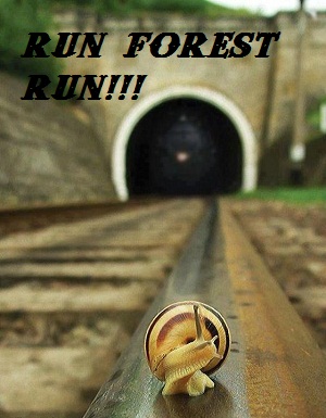 run forest run - Meme subido por lecheringles :) Memedroid