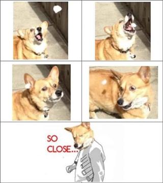 so close - Meme by yusername :) Memedroid