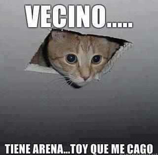 arena? - Meme subido por fannii :) Memedroid