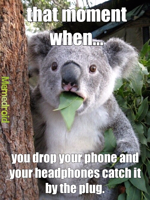 intense feeling. - Meme by luminarycanine :) Memedroid