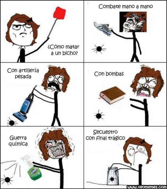 insecto ninja - Meme subido por cd-dvd :) Memedroid