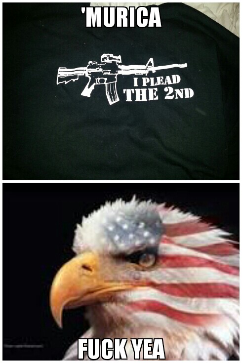 murica - Meme by xfatjoex :) Memedroid