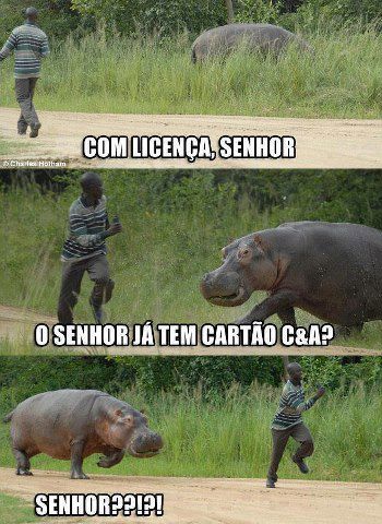 C&a - Meme by halleffreorc :) Memedroid