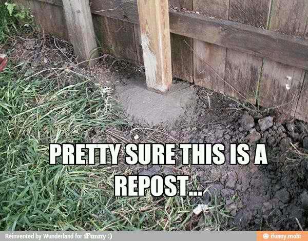 reposted the repost of a post being reposted - Meme subido por ...