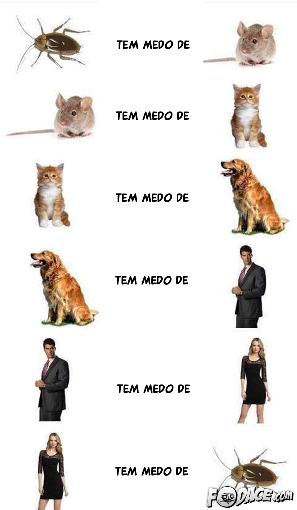 ciclo - Meme by henriquetacco :) Memedroid