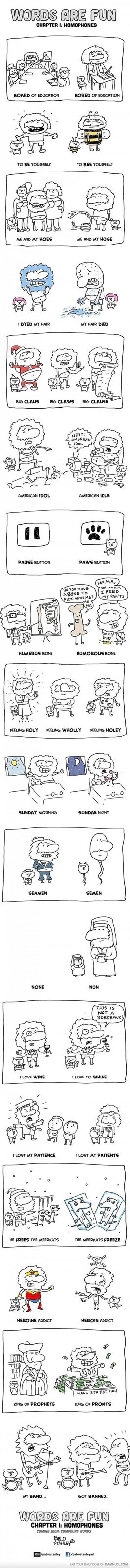 homophones - Meme subido por BigBear66 :) Memedroid