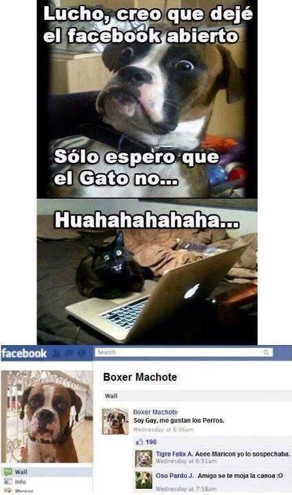 luchoo - Meme by jmaikvm :) Memedroid