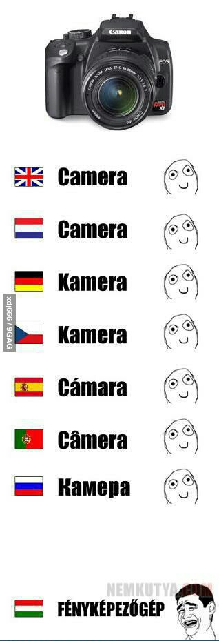 I'm not a Nikon bi-atch. - Meme by TheAndyJoseph :) Memedroid