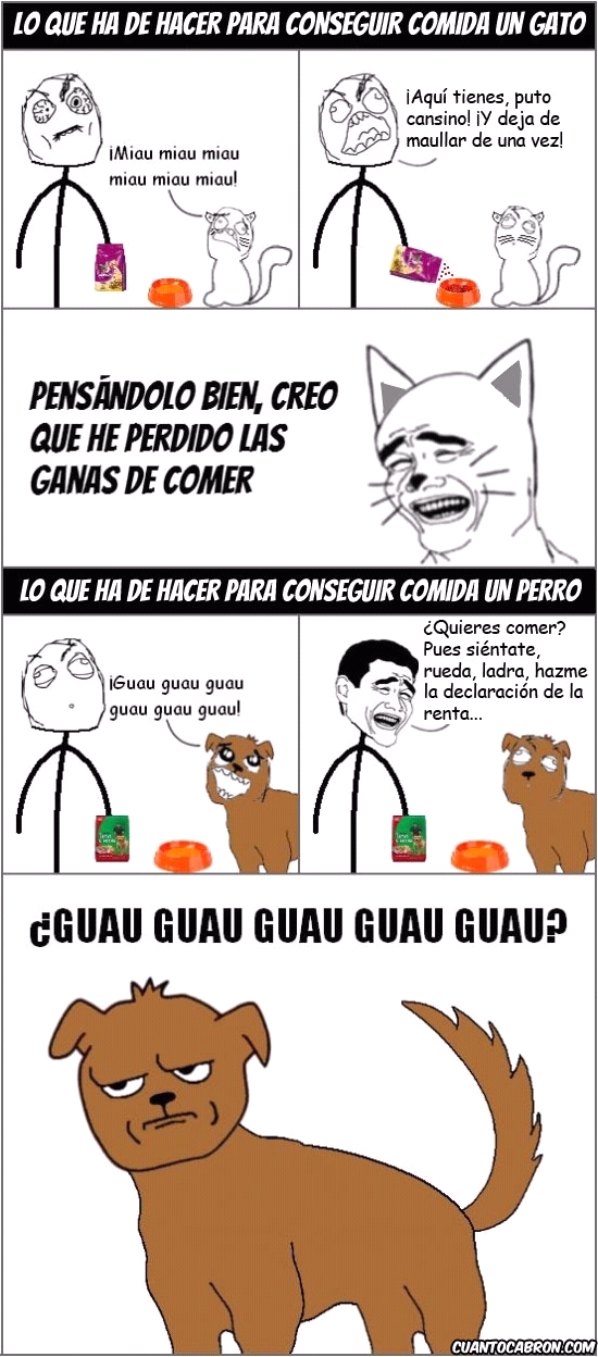 la injusticia perruna - Meme subido por diegoycamila45 :) Memedroid