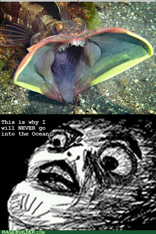 NEVER - Meme by LilBunnyGirls :) Memedroid