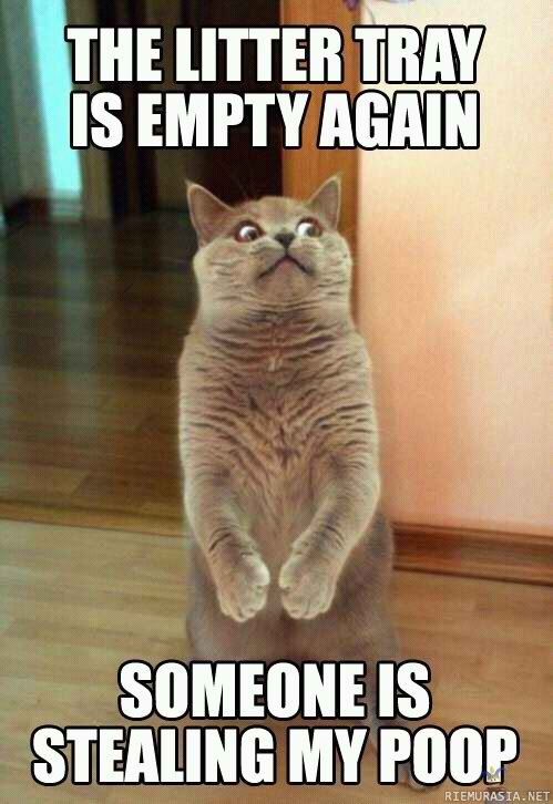 thief - Meme by crazynessx :) Memedroid