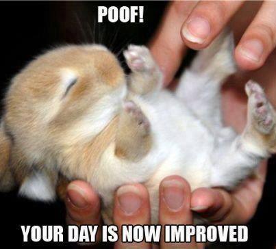 cuteness - Meme by Fade :) Memedroid