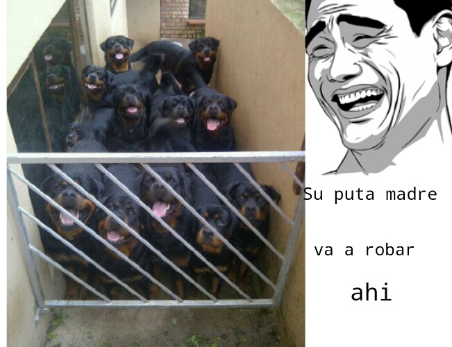 Es original 100 % , echo con rage comic creator - Meme subido por ...