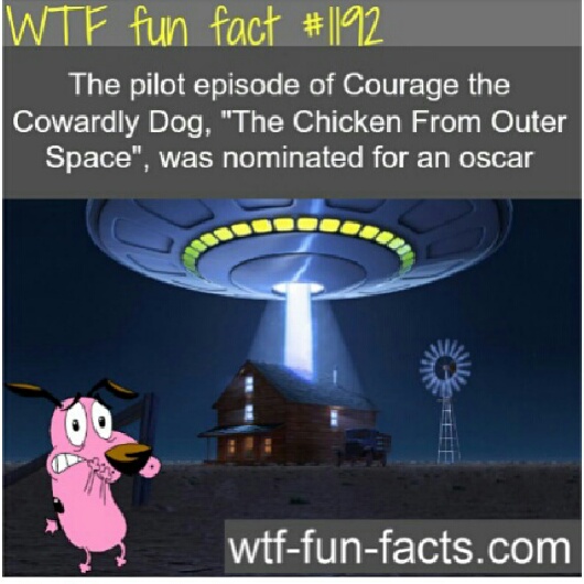 fun fact - Meme by cornersej :) Memedroid