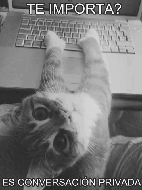 te importa??? - Meme subido por pufitoz2001 :) Memedroid