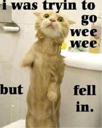 Opps - Meme by FHL09 :) Memedroid