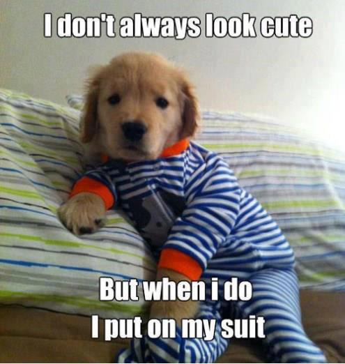 Suit up! - Meme by tha_fabi :) Memedroid