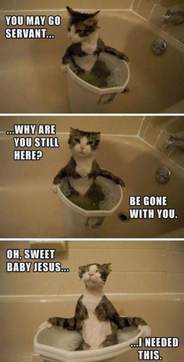 You may go servant... - Meme by imaximp :) Memedroid