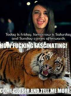 it will be fun - Meme by Applesac :) Memedroid