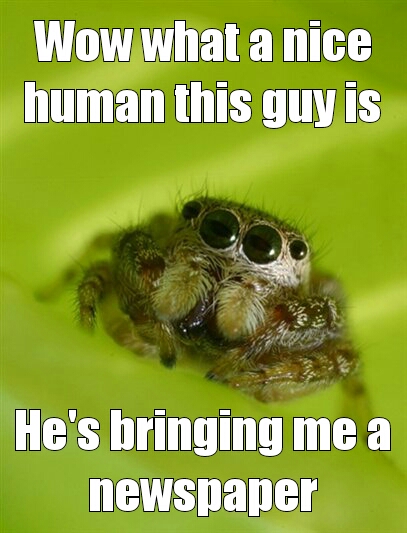 Smack! - Meme by beermethatdisk :) Memedroid