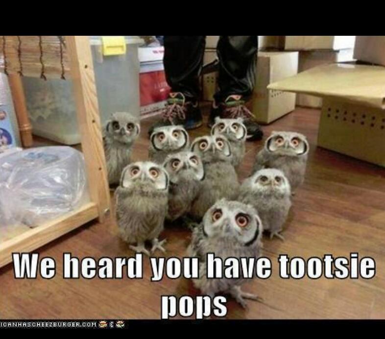 A one, a two, THREE. - Meme by CarbonCopy :) Memedroid