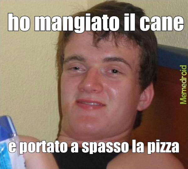 Meme Del Cane Ubriaco Meme 😕 Как я себя чувствую