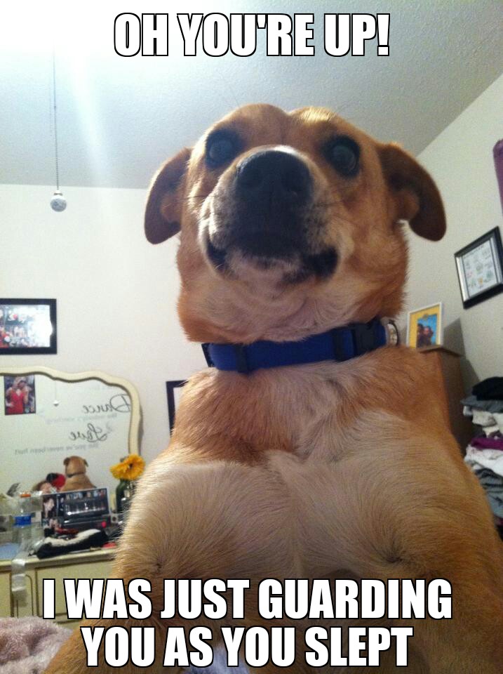 ohhai - Meme by ttraynor10 :) Memedroid