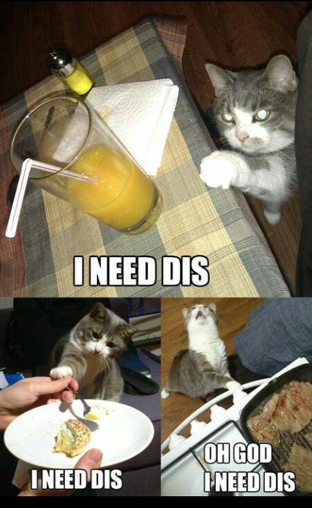 I need dis - Meme subido por natatat :) Memedroid