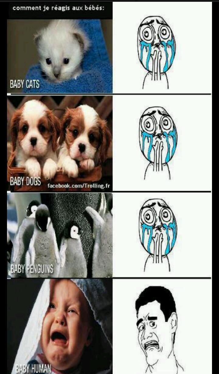 Les bébés - Meme by Jadzen :) Memedroid