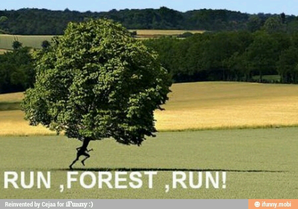 1forrest1 - Meme by Aidanbeats :) Memedroid