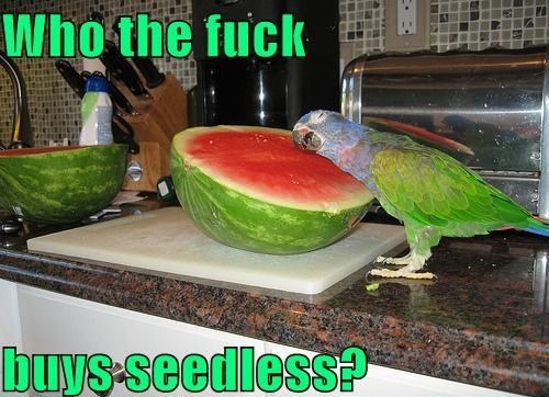 i want some... - Meme by pincheperro666 :) Memedroid