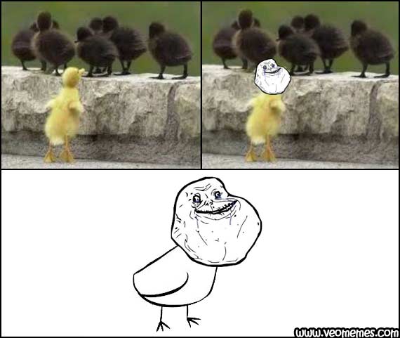 pollito - Meme subido por titoramosch :) Memedroid