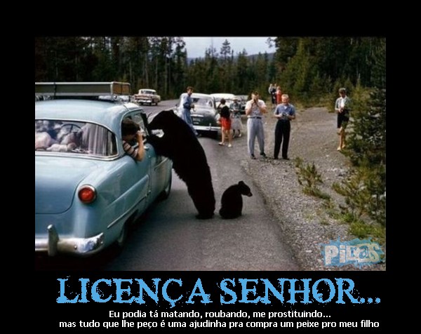 ursos - Meme by carlose236 :) Memedroid