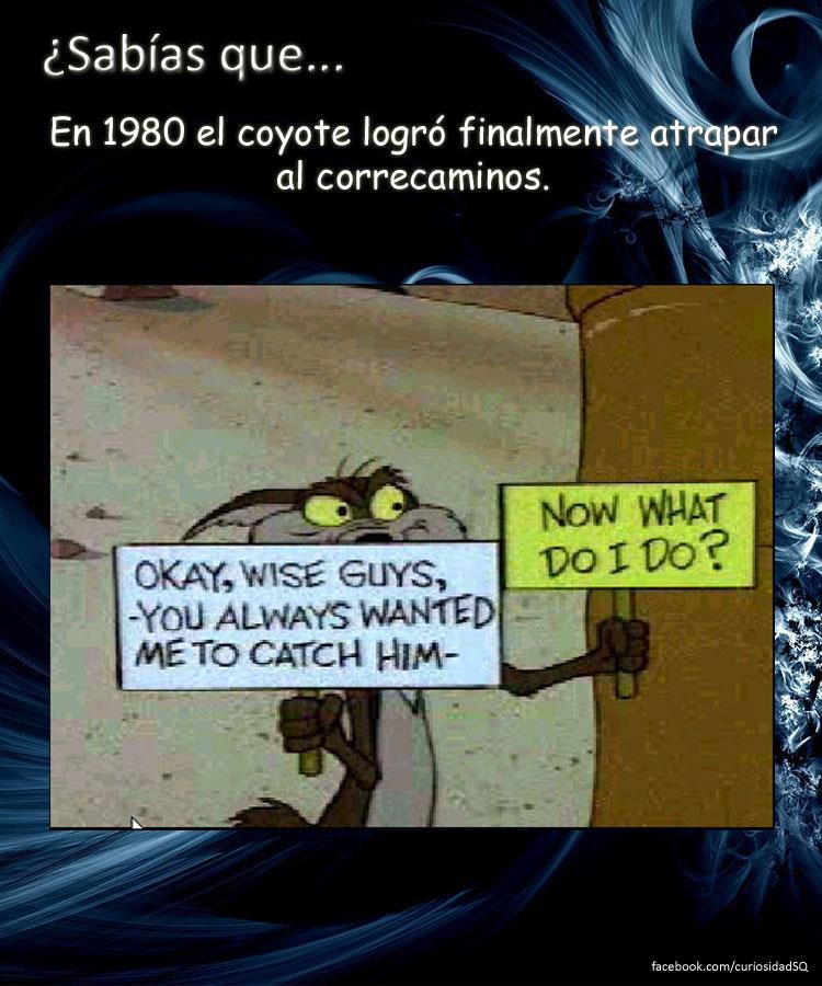 por fin - Meme subido por djcani66 :) Memedroid