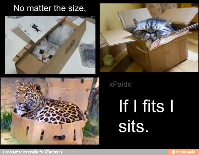 If i fit - Meme by BreathingWheel :) Memedroid