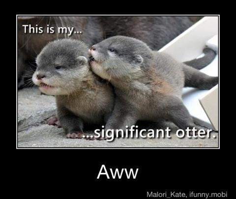 awww - Meme by sexylesbian :) Memedroid