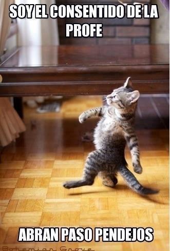 jajaja con todo el flow - Meme subido por tumacomi01.aps :) Memedroid