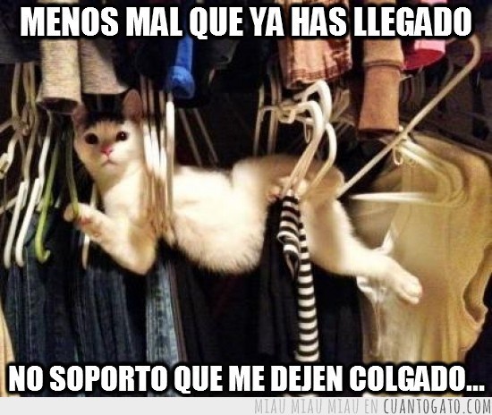pobre gato - Meme subido por pabloguardia01 :) Memedroid