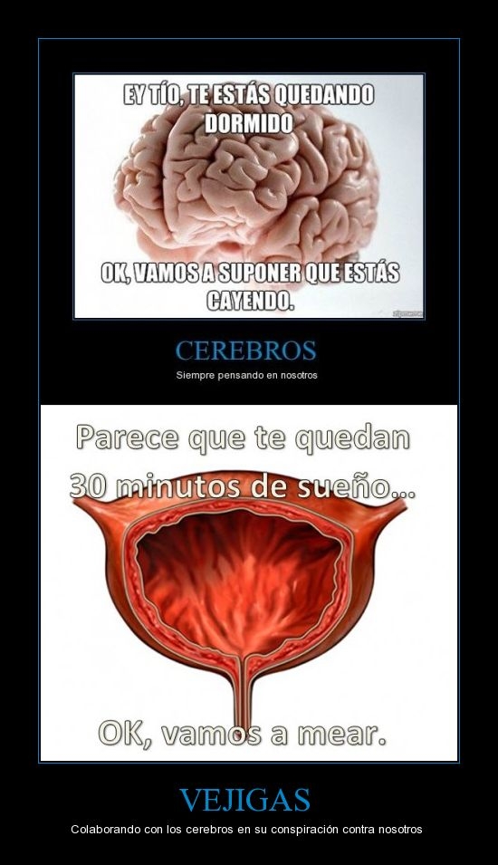 A MEAR - Meme subido por pipeolivares2k :) Memedroid