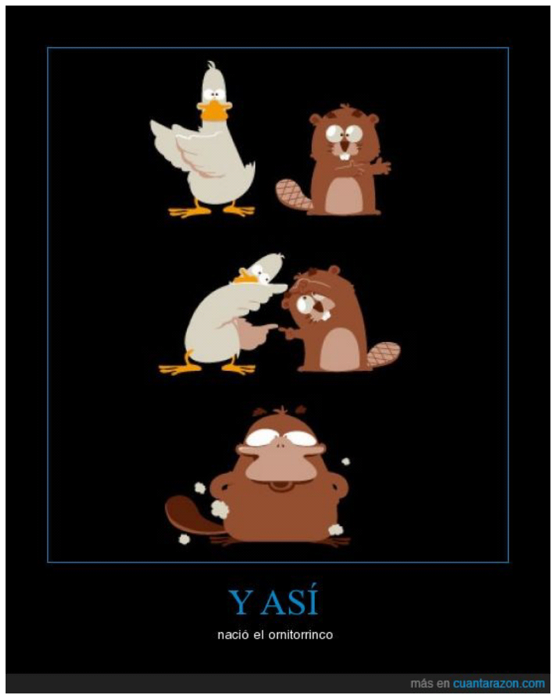 ton - Meme by perchita12 :) Memedroid